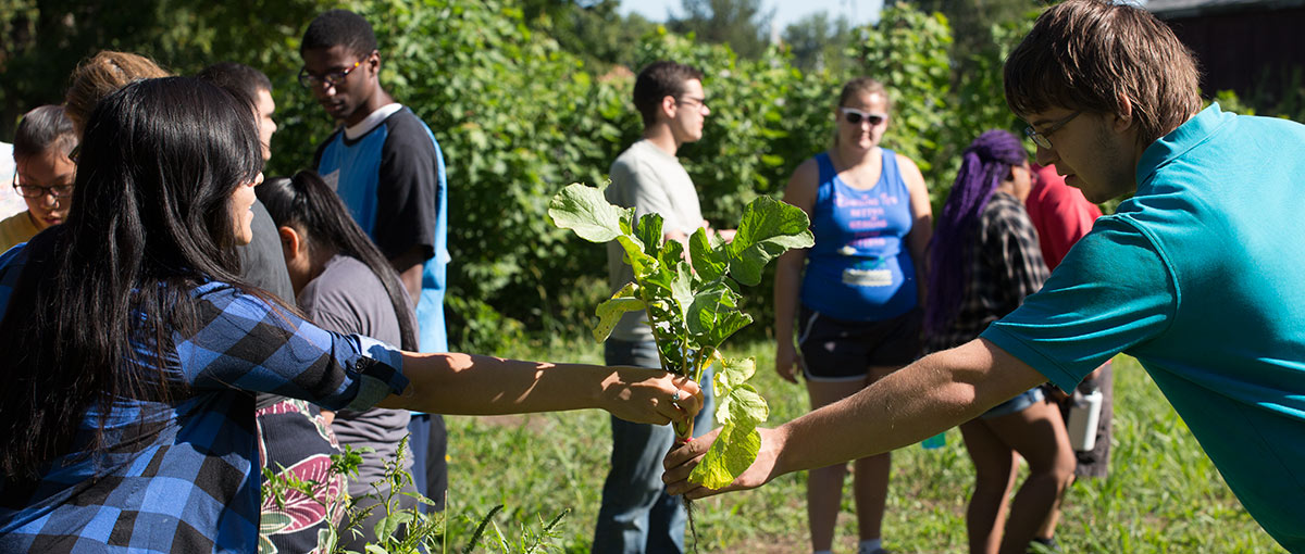 Environmental Studies - Majors & Minors - Knox College