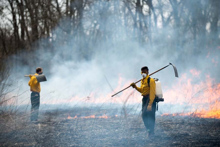 Prairie Burn Highlights Start of Green Oaks Term - Knox College