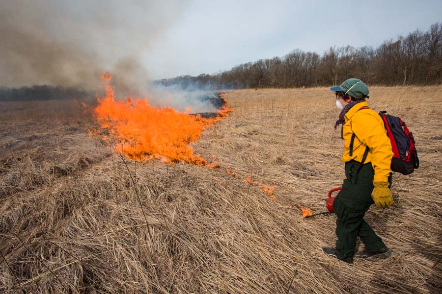 Annual Burn Restores Prairie - Knox College